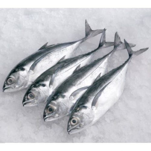 1-Fish - Hock Sin Fresh and Frozen Food Supplies Johor Bahru