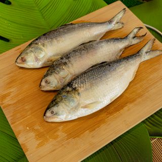 1-Fish - Hock Sin Fresh and Frozen Food Supplies Johor Bahru